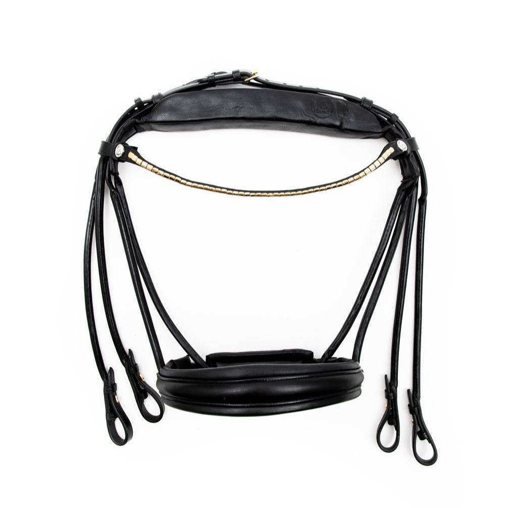 Finesse Bridles Cassidy kandar i sort/sort m. guld - inkl. gratis ... Finesse Bridles Cassidy kandar i sort/sort m. guld - inkl. gratis ...
